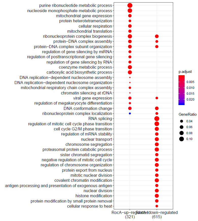 GitHub - xryanglab/RocA: Reanalysis of ribosome profiling datasets reveals a novel function of ...