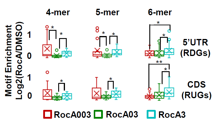 GitHub - xryanglab/RocA: Reanalysis of ribosome profiling datasets reveals a novel function of ...