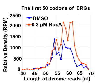 GitHub - xryanglab/RocA: Reanalysis of ribosome profiling datasets reveals a novel function of ...