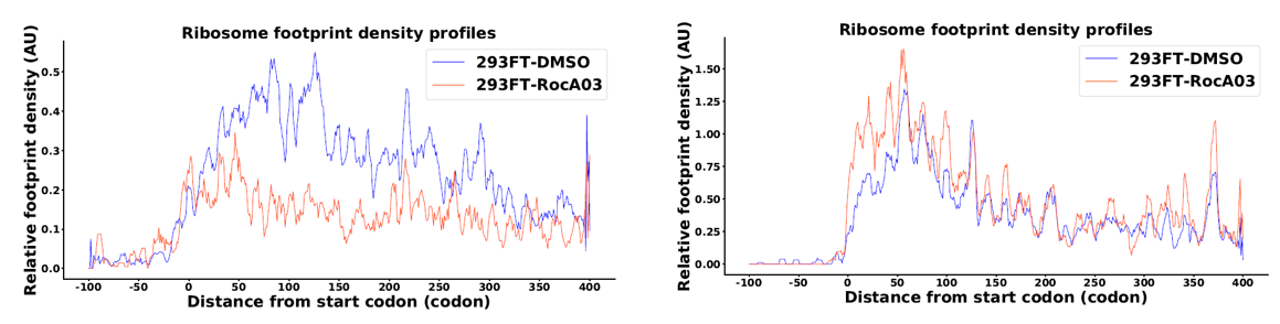 GitHub - xryanglab/RocA: Reanalysis of ribosome profiling datasets reveals a novel function of ...