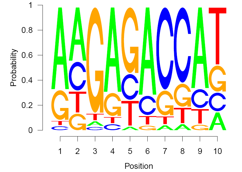 GitHub - xryanglab/RocA: Reanalysis of ribosome profiling datasets reveals a novel function of ...