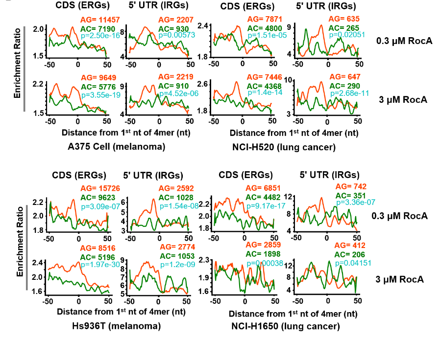 GitHub - xryanglab/RocA: Reanalysis of ribosome profiling datasets reveals a novel function of ...