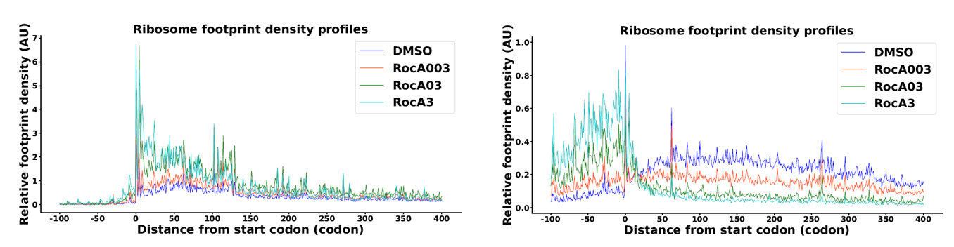 GitHub - xryanglab/RocA: Reanalysis of ribosome profiling datasets reveals a novel function of ...