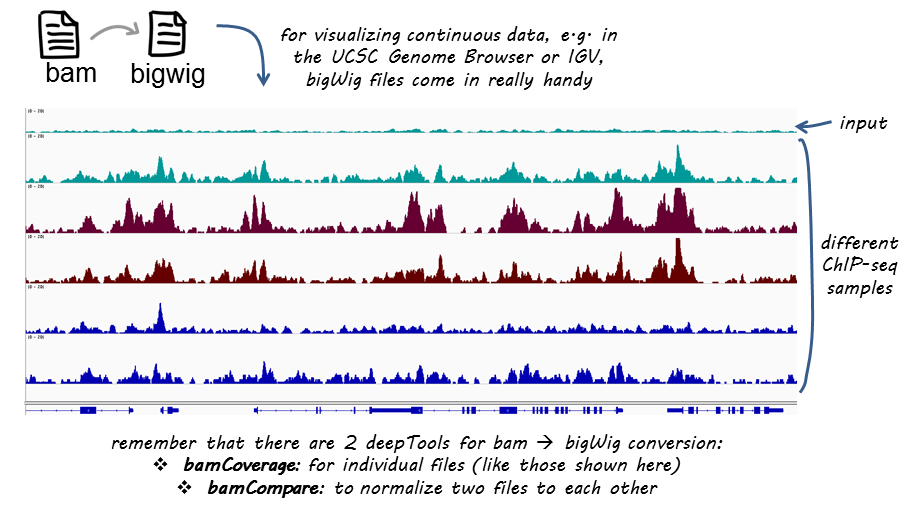 ChIPseq - 作业部落 Cmd Markdown 编辑阅读器